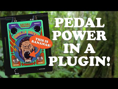 Gorilla Drive VST plugin | Tool for sound exploration | Safari Pedals